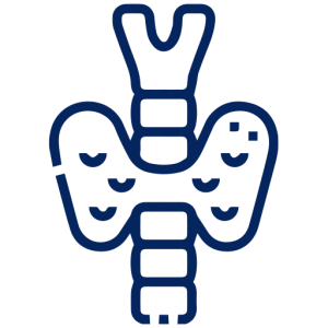 Medical Billing Services for Providers | Hawk Revenue Group